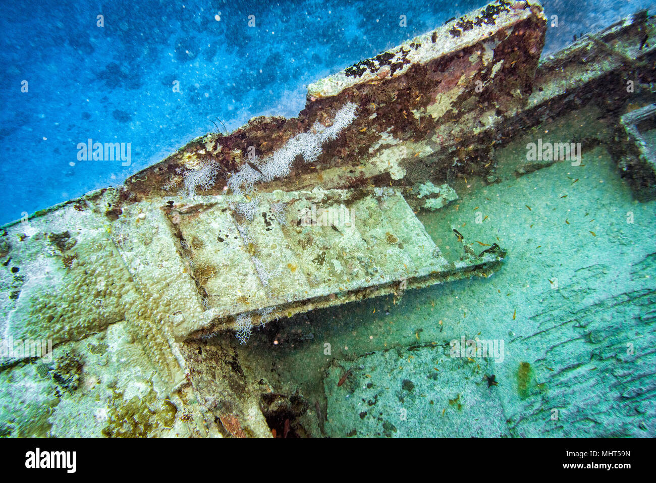 Ship Wreck underwater while diving Stock Photo - Alamy