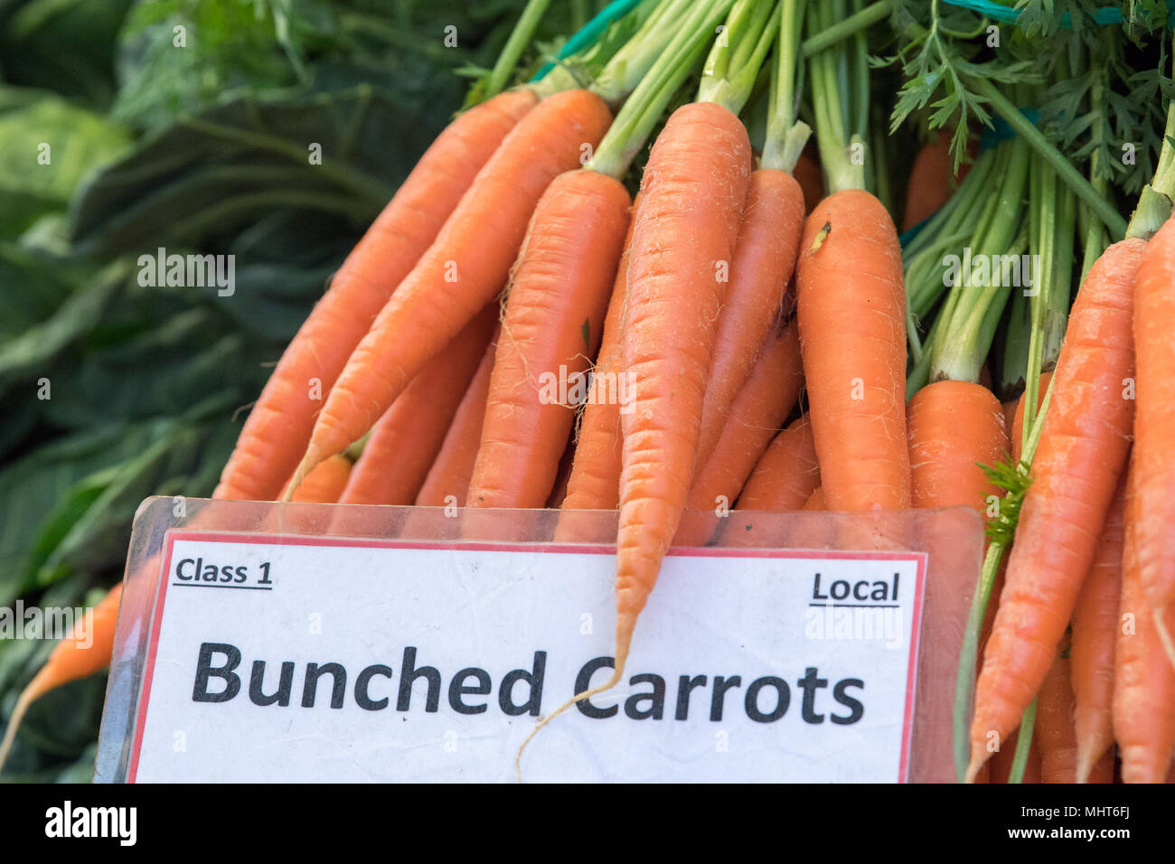 Bunched carrots hi-res stock photography and images - Alamy