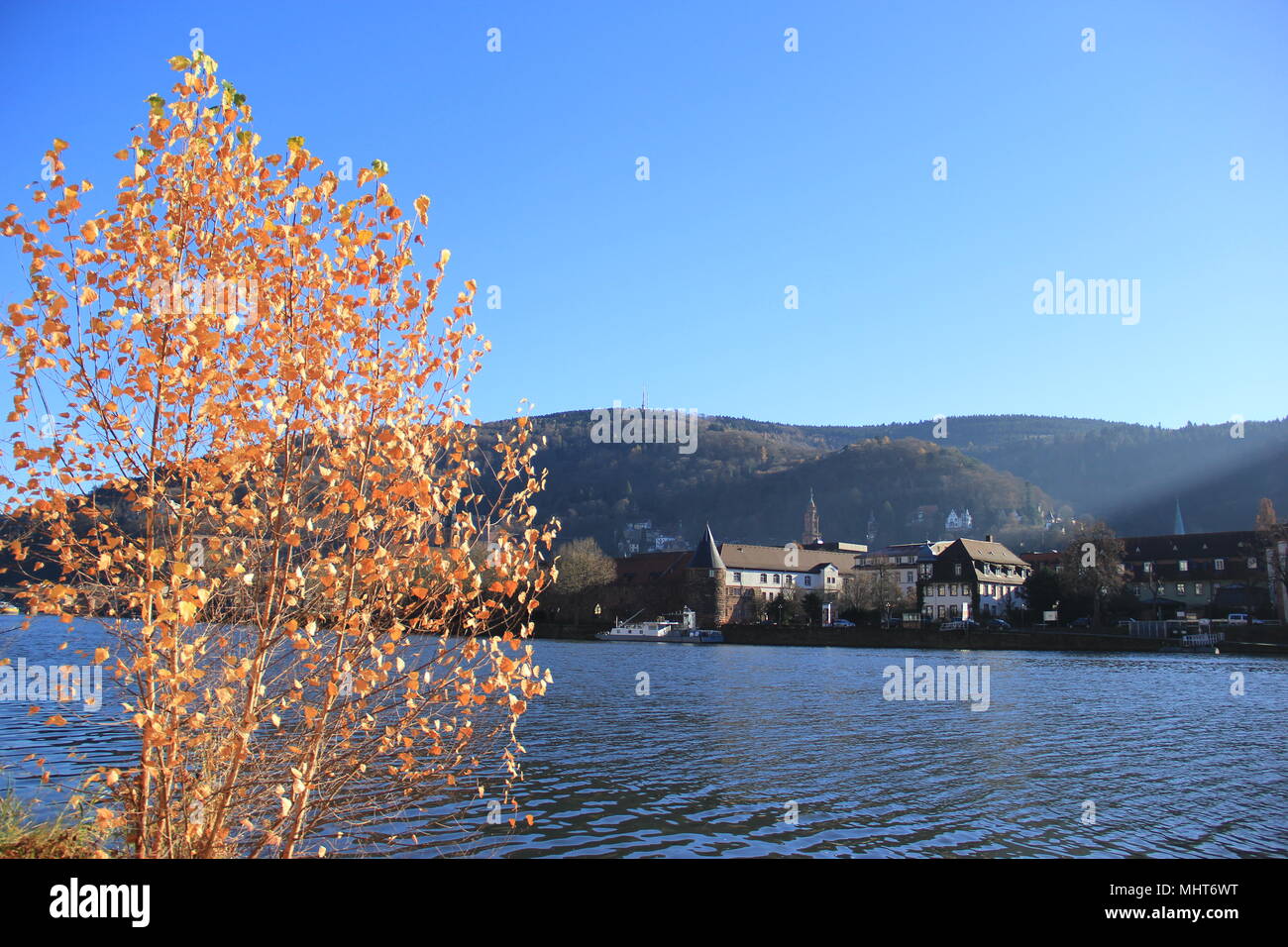 Neckar River 1 ,Heidelberg Germany Stock Photo - Alamy