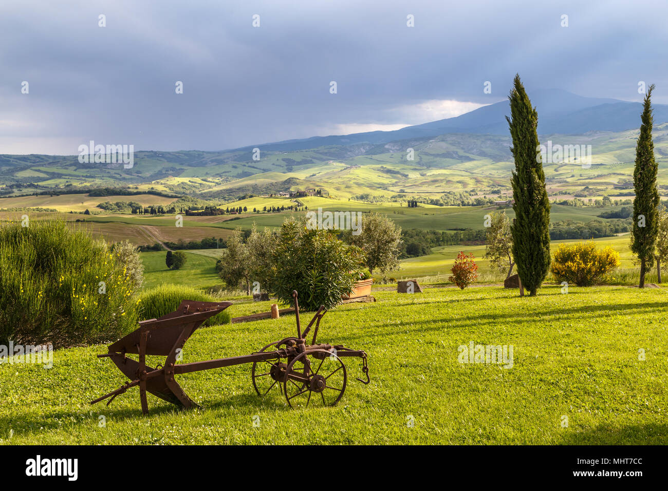 Tuscany landscape, tree and meadow, Italy Stock Photo - Alamy