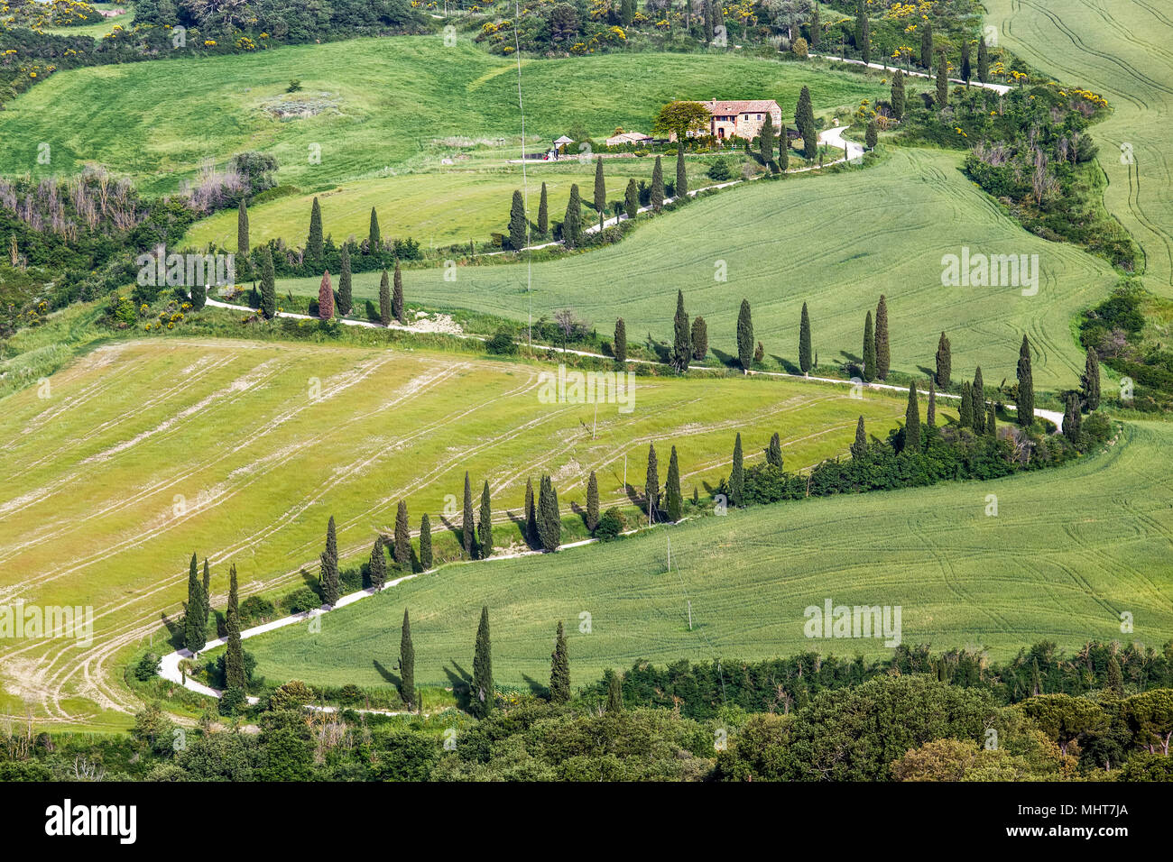 Haystack on a field in Tuscany Stock Photo - Alamy
