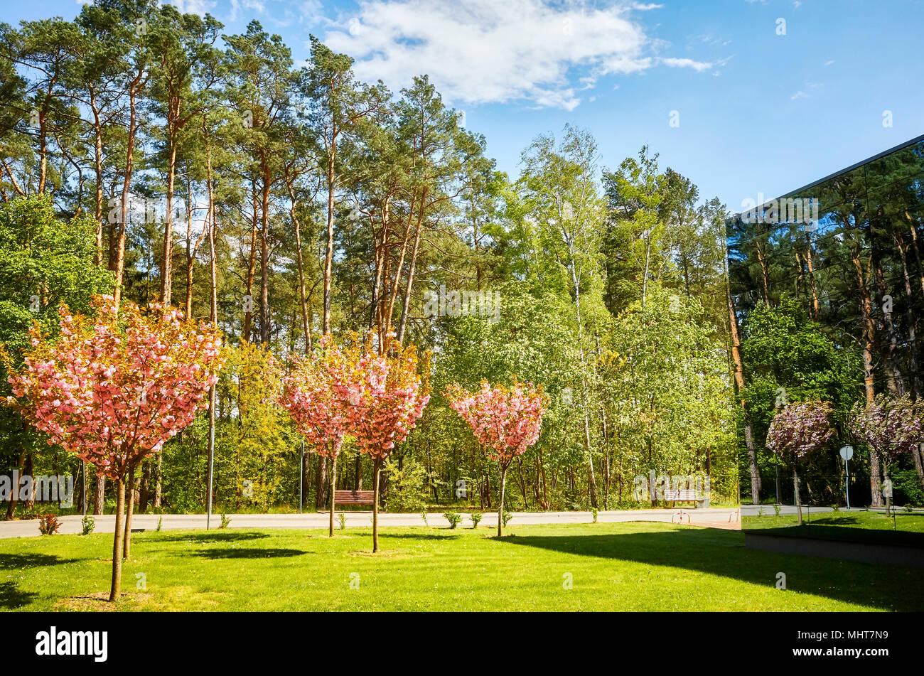 Tree reflection glass hi-res stock photography and images - Alamy