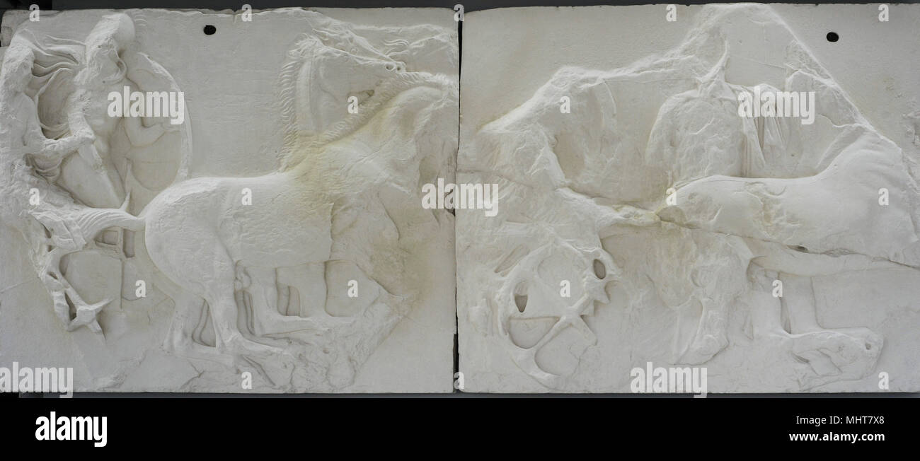 Parthenon frieze horse hi-res stock photography and images - Alamy
