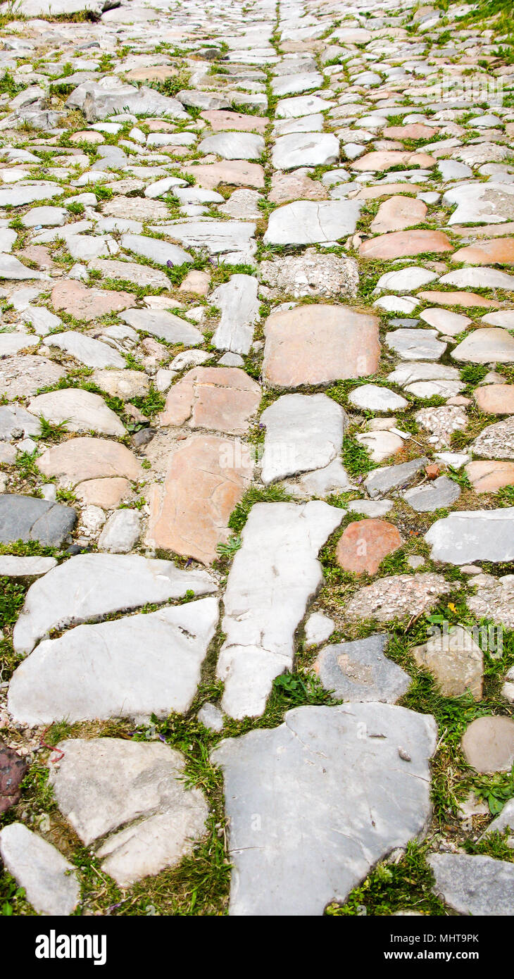 Bumpy foot hi-res stock photography and images - Alamy