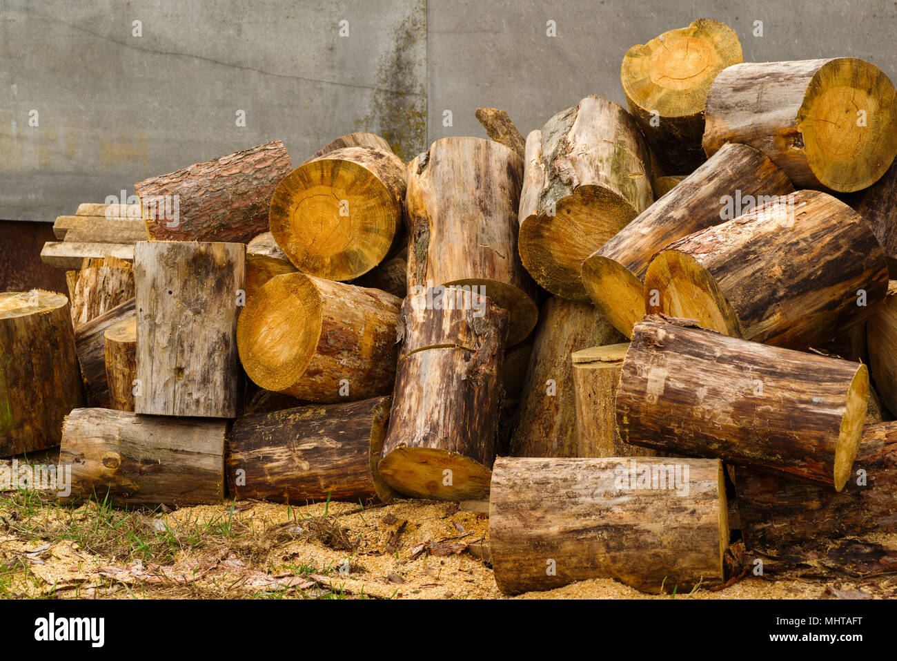 Timber Stockpile High Resolution Stock Photography and Images - Alamy