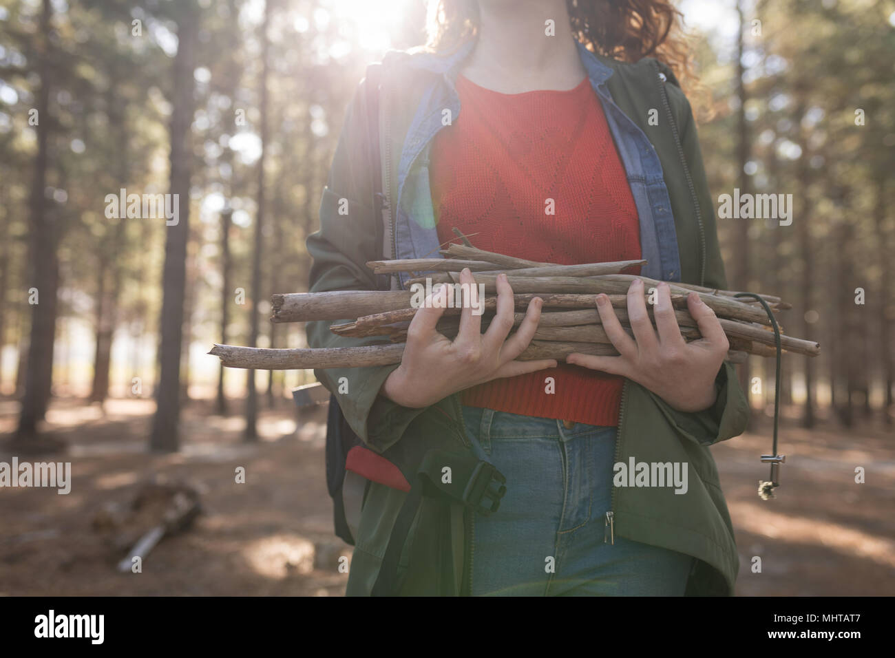Woman holding plant sticks in forest Stock Photo - Alamy