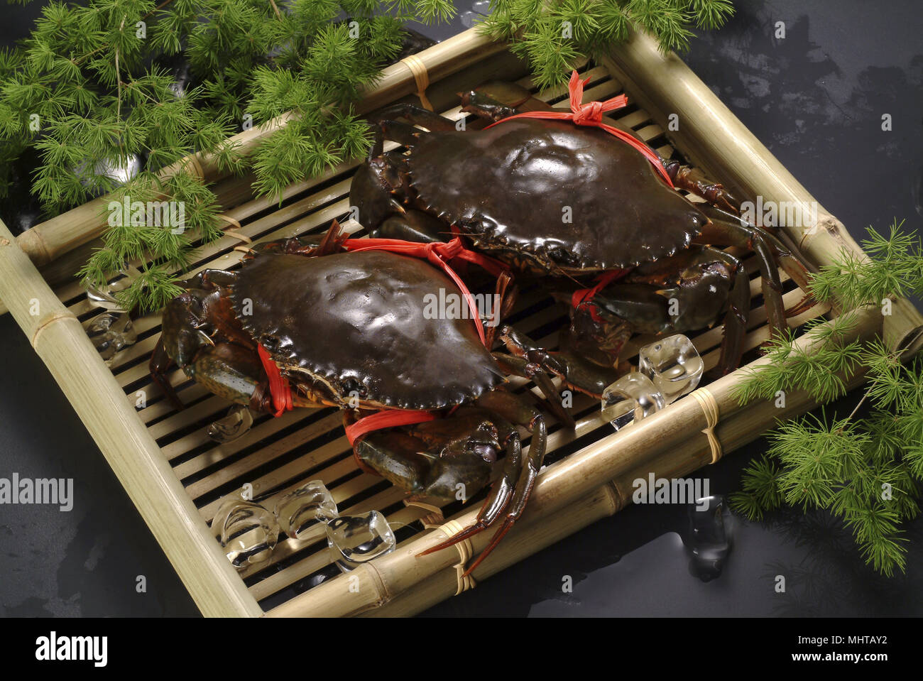 Tied up crabs hi-res stock photography and images - Alamy