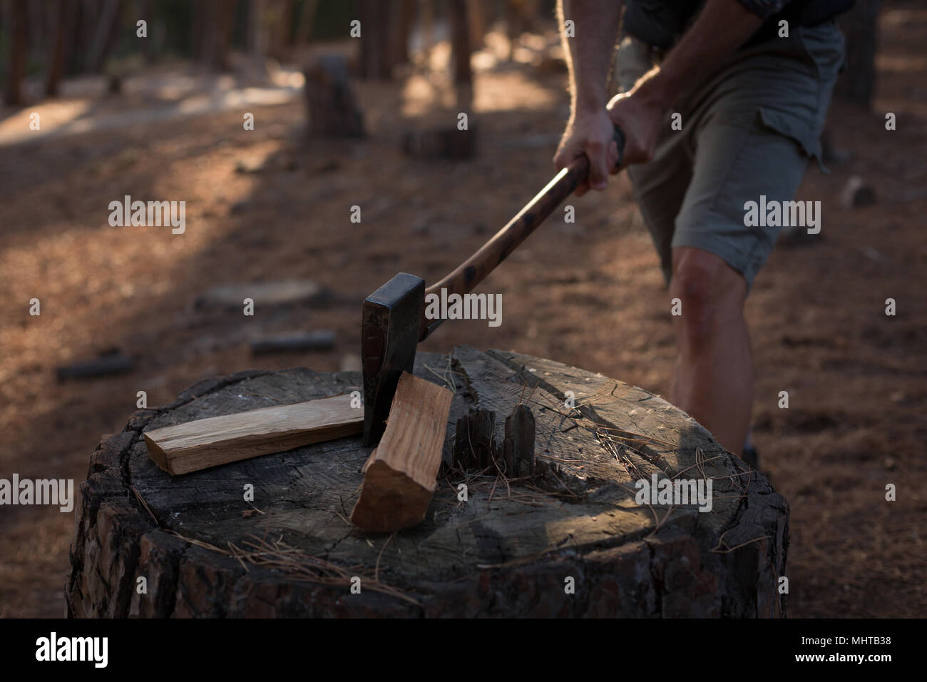 Cutting tree with axe hi-res stock photography and images - Alamy
