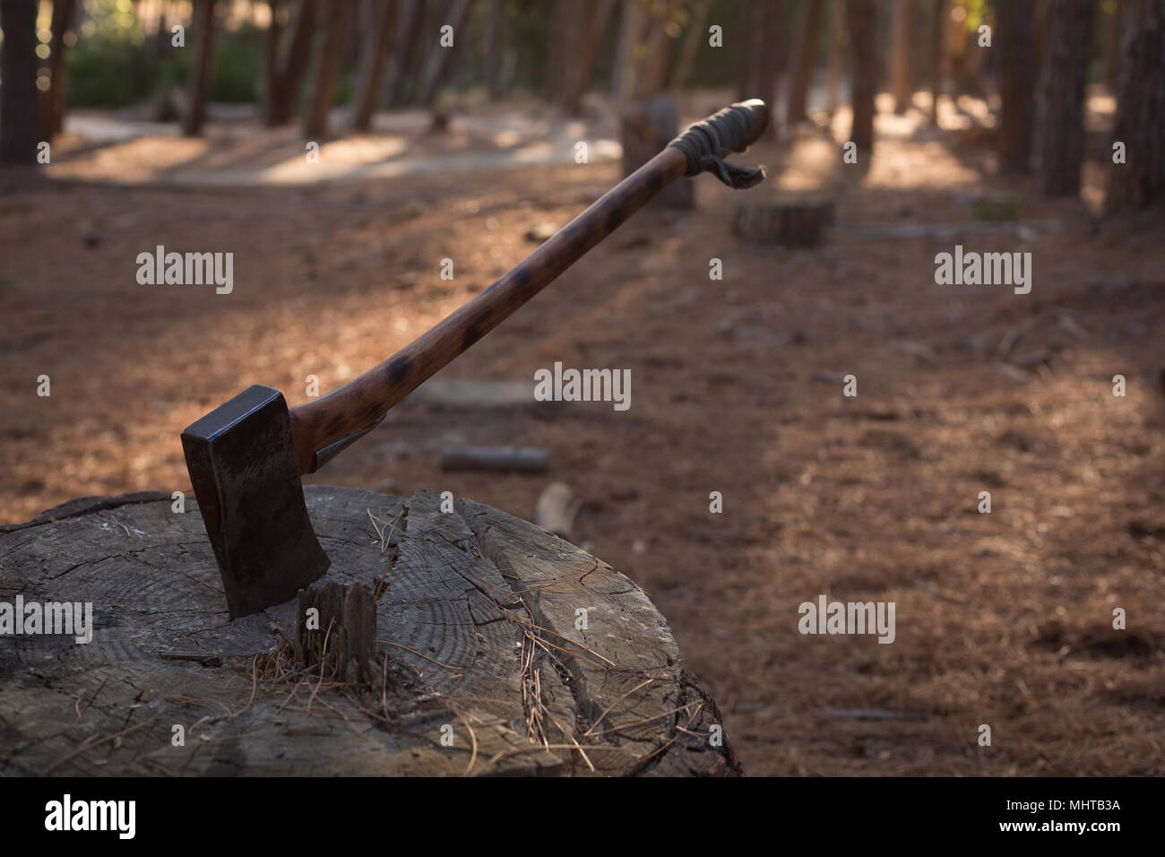 An axe being thrust into a stump Stock Photo - Alamy