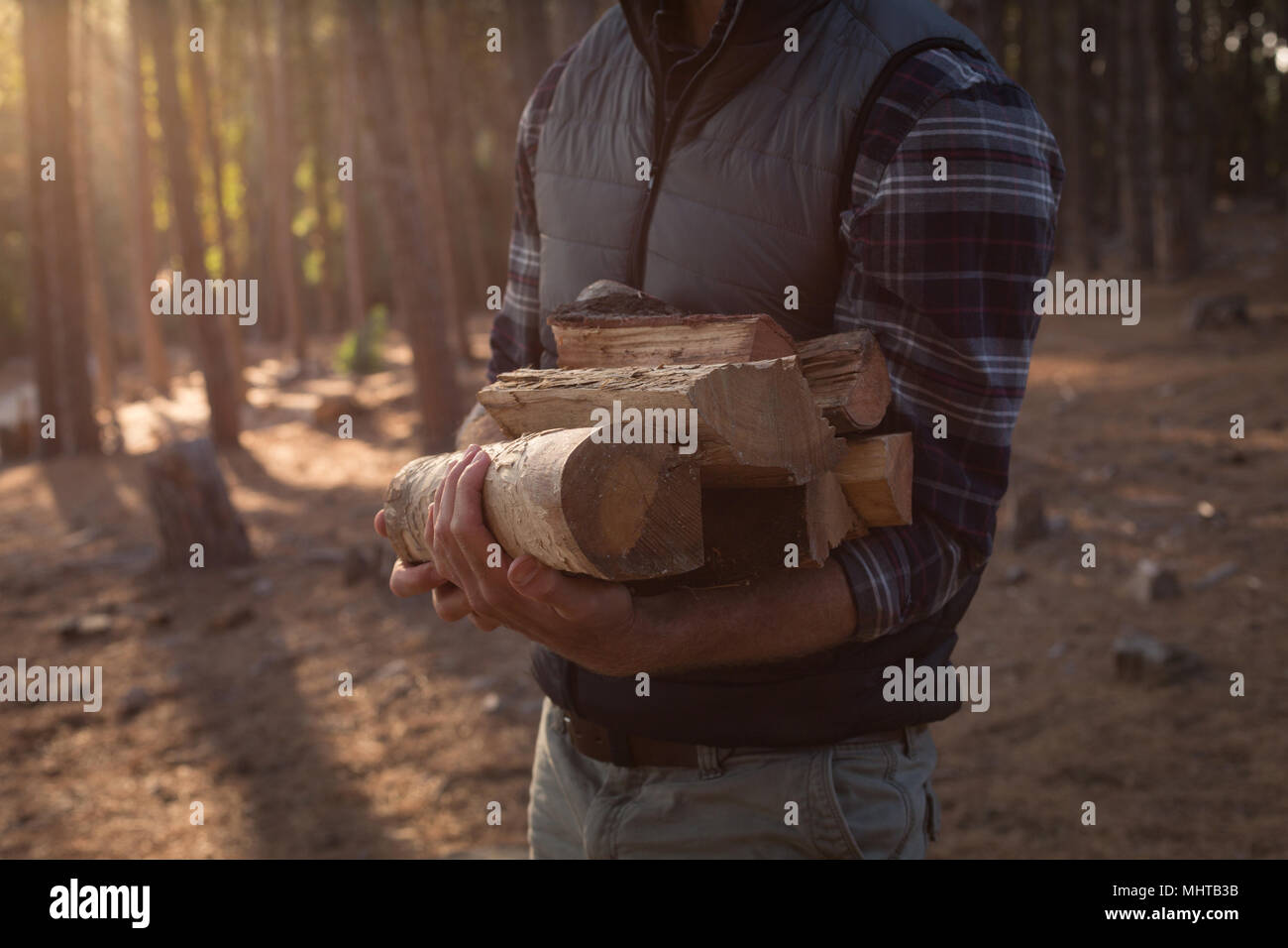 Man holding logs in the forest Stock Photo - Alamy