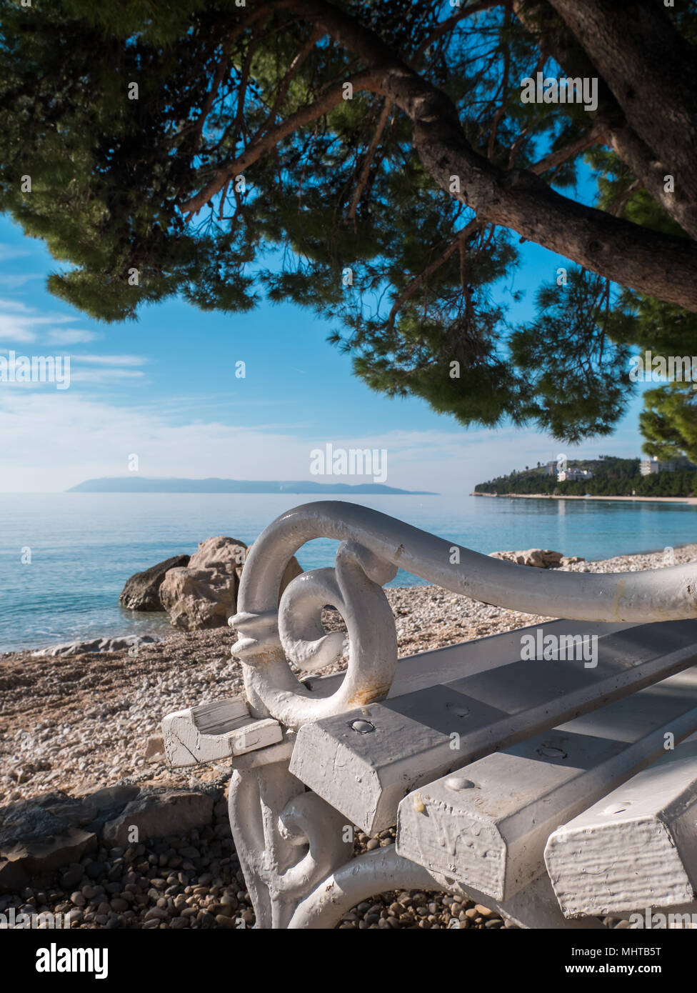 Tree bench hi-res stock photography and images - Alamy