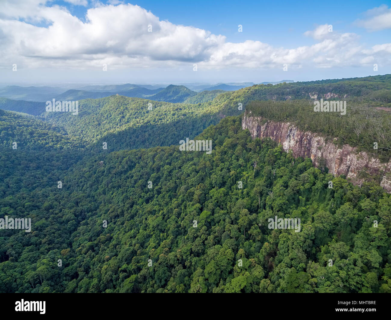 Forested mountains and rugged cliffs at Springbrook National Park ...