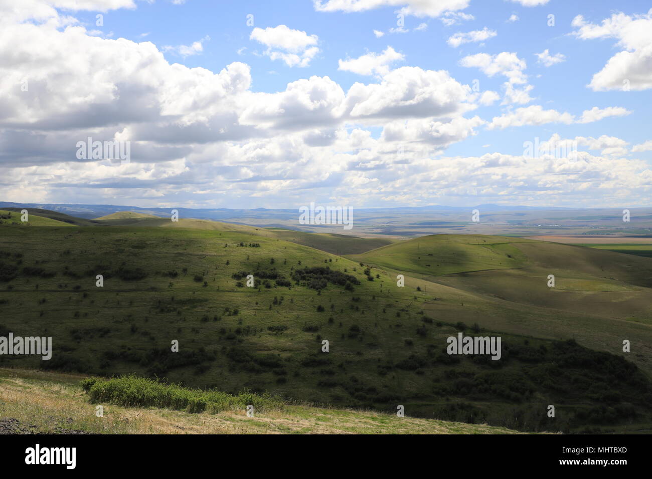 Pendleton, oregon hi-res stock photography and images - Alamy
