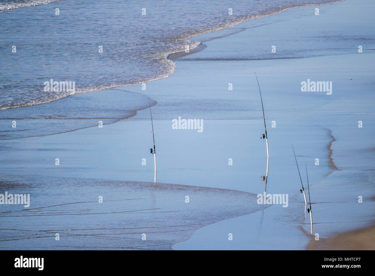ocean fishing rods set up in surf Stock Photo - Alamy