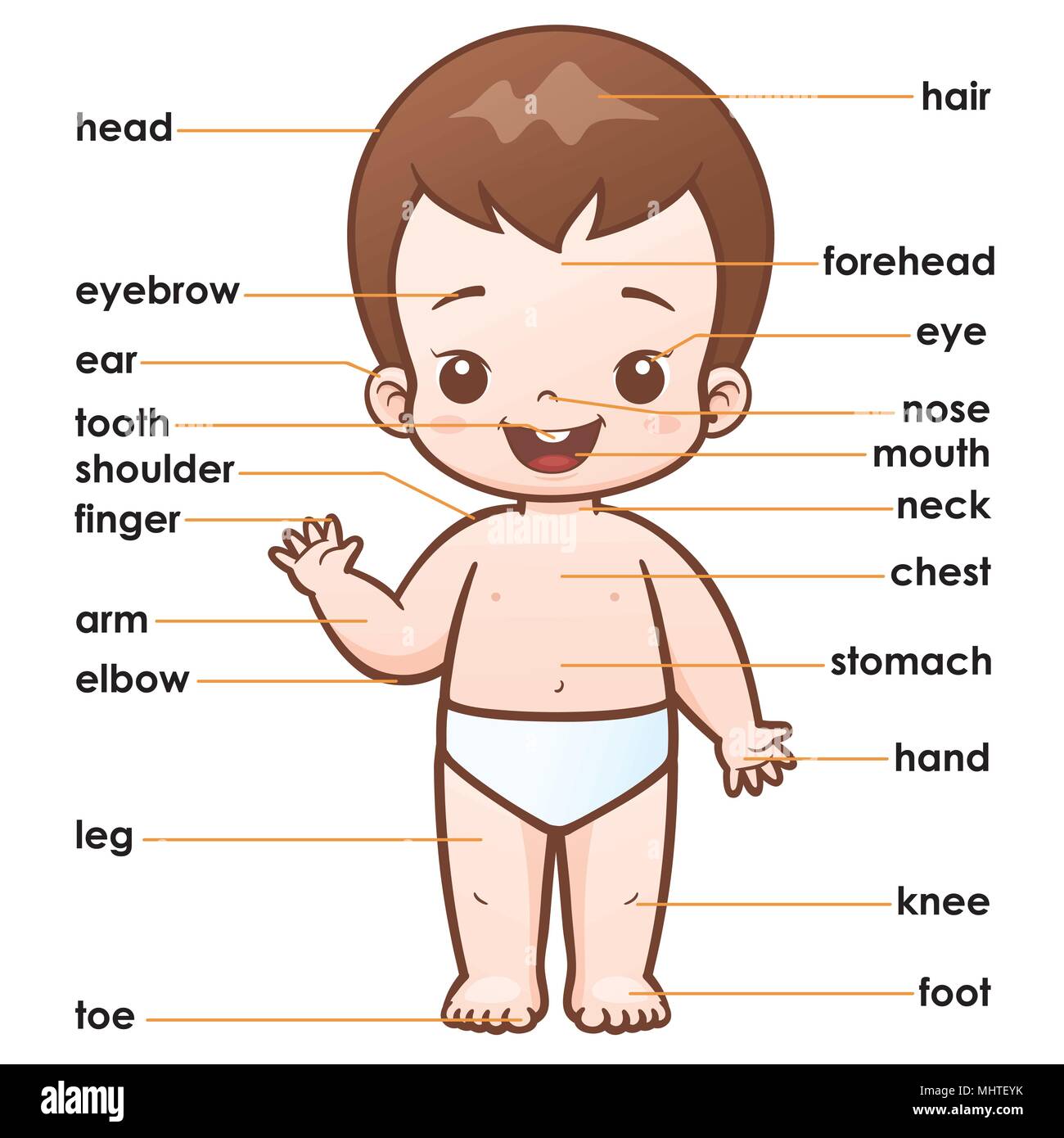 Vocabulary Parts Of The Body