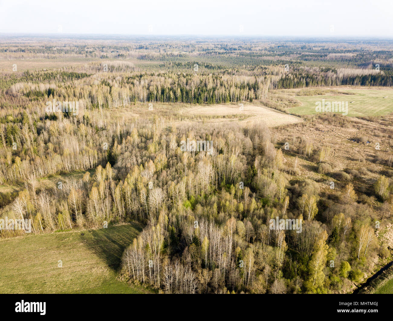 drone image. aerial view of rural area with fields and forests in sunny ...