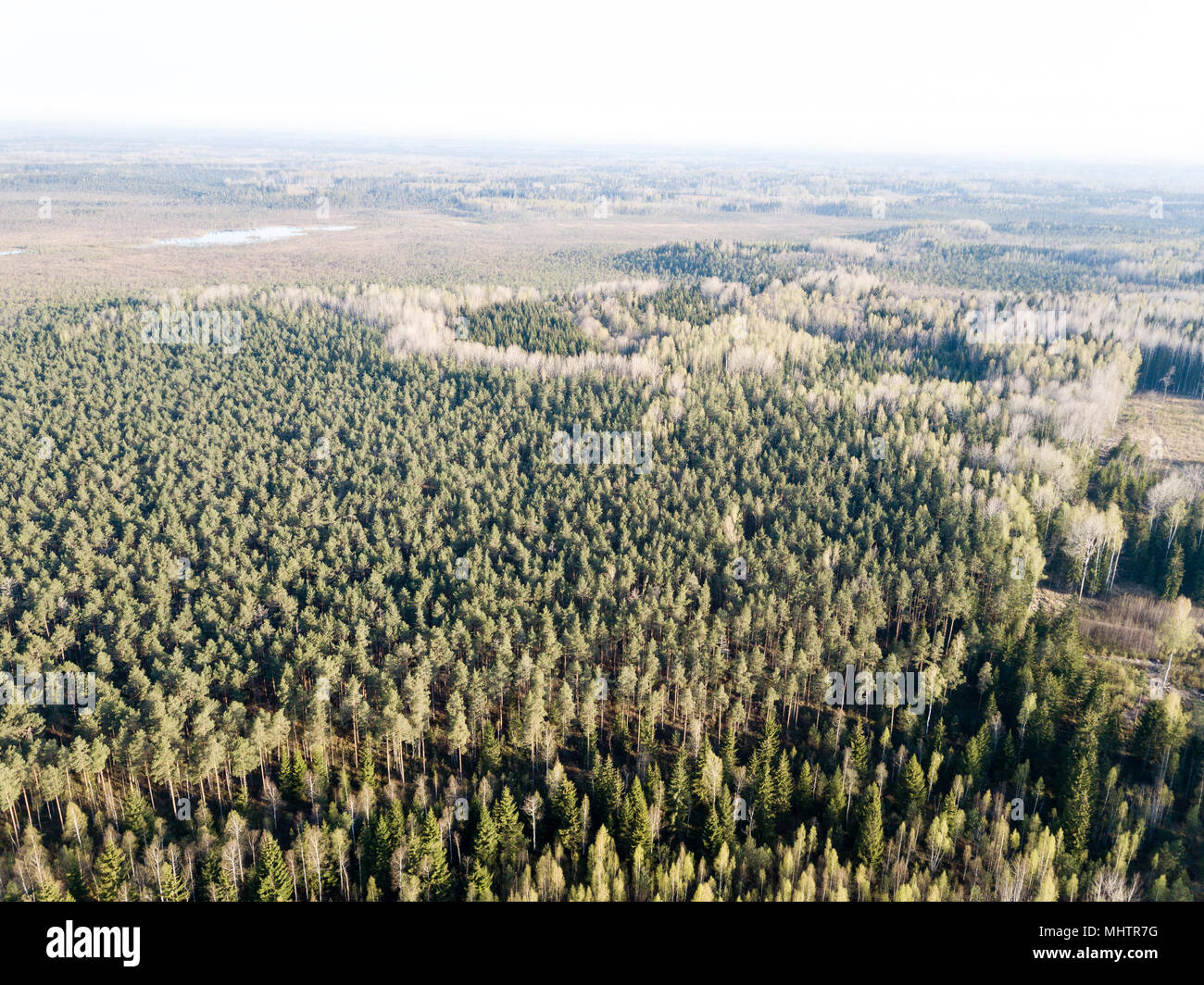 drone image. aerial view of rural area with fields and forests in ...