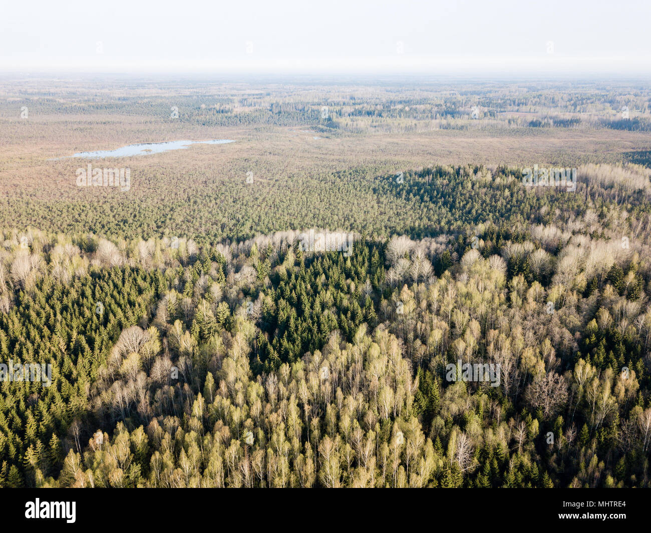 drone image. aerial view of rural area with fields and forests in ...