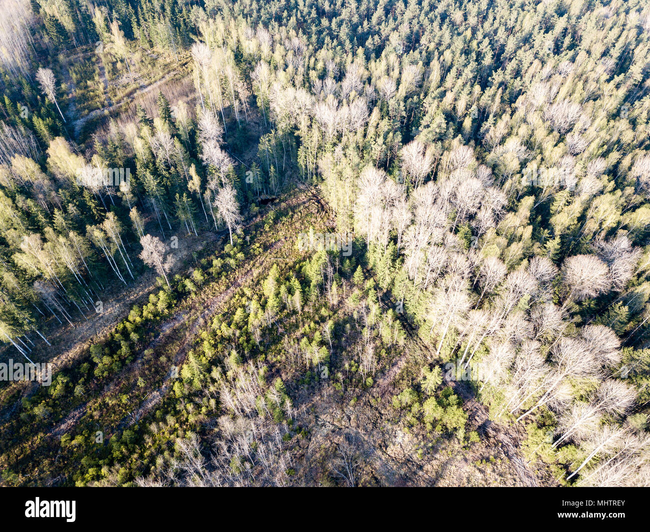 drone image. aerial view of rural area with fields and forests in ...