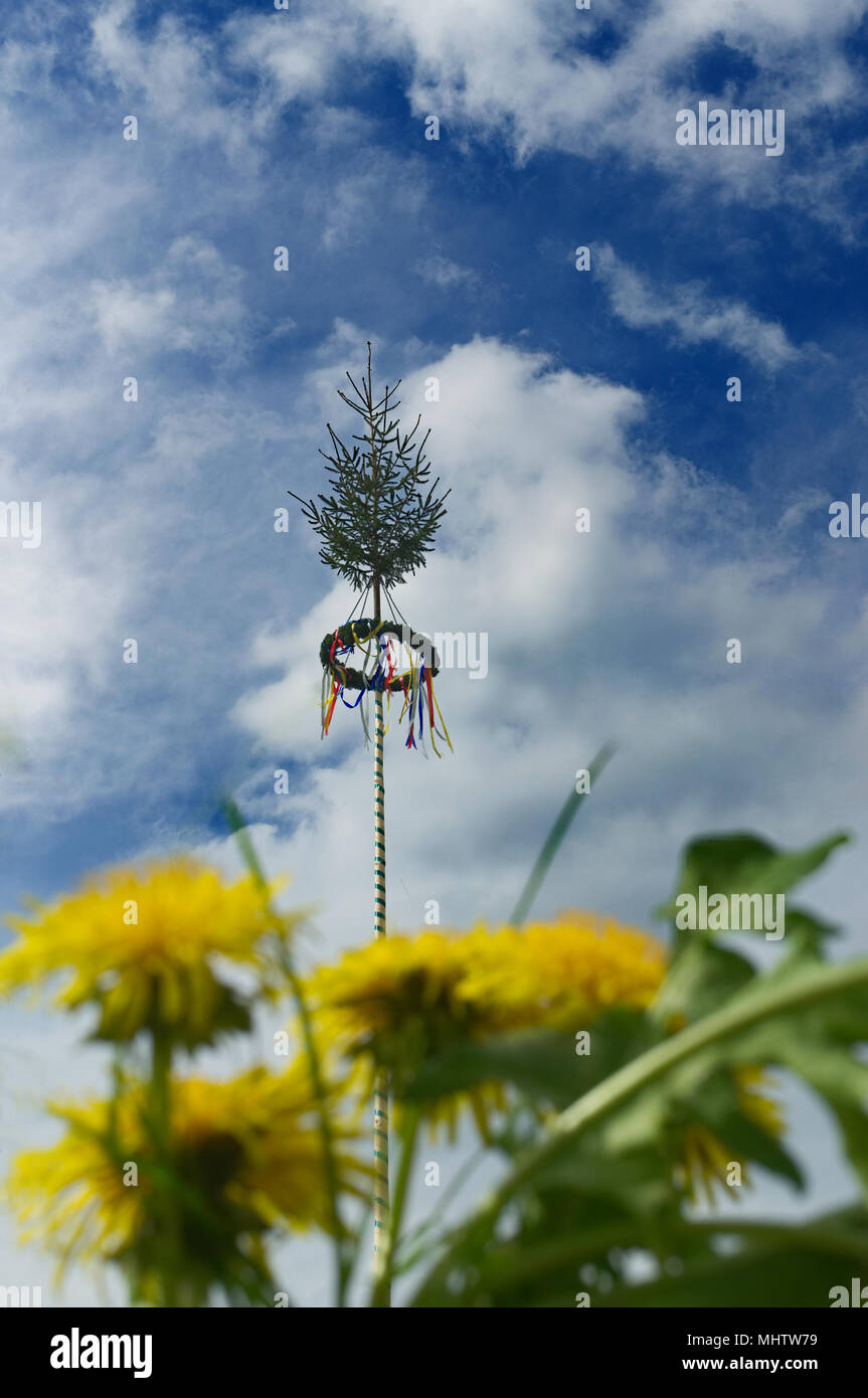 German maypole hi-res stock photography and images - Alamy