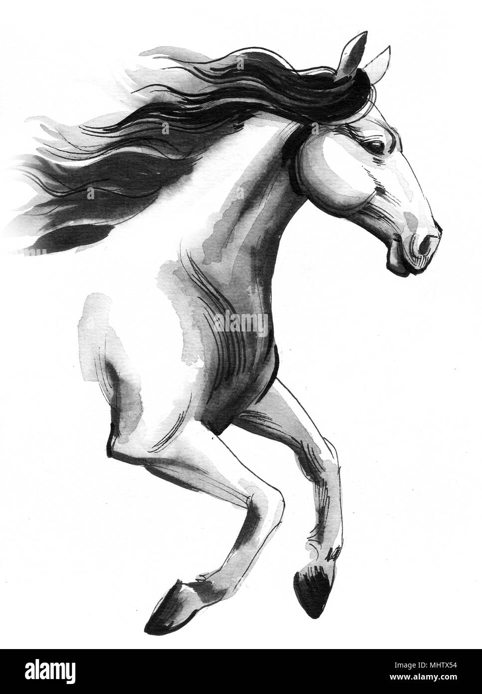Ink and watercolor illustration of a running horse Stock Photo - Alamy