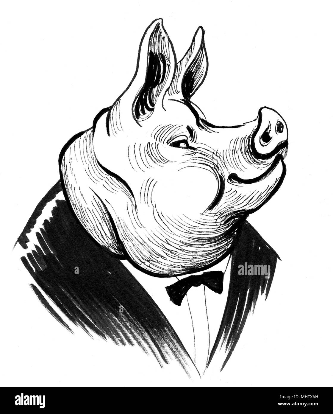 Pig suit hi-res stock photography and images - Alamy