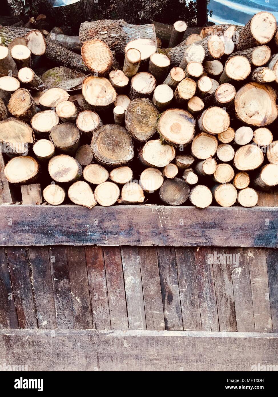 Stack of firewood log wood landscape natural Stock Photo - Alamy