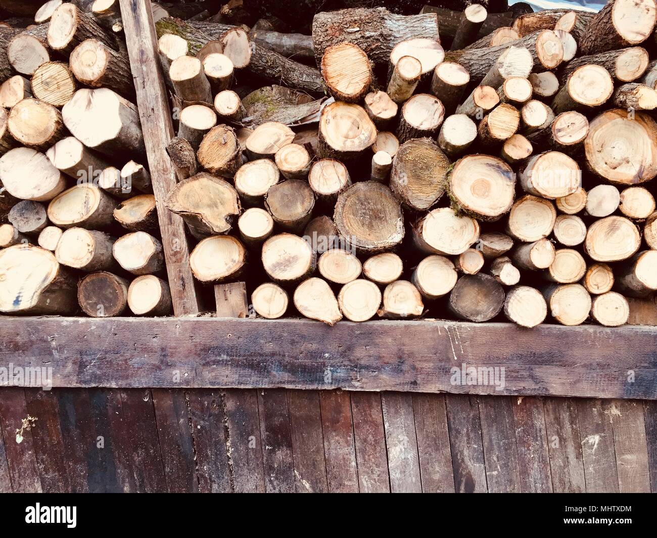 Stack of firewood log wood landscape natural Stock Photo - Alamy