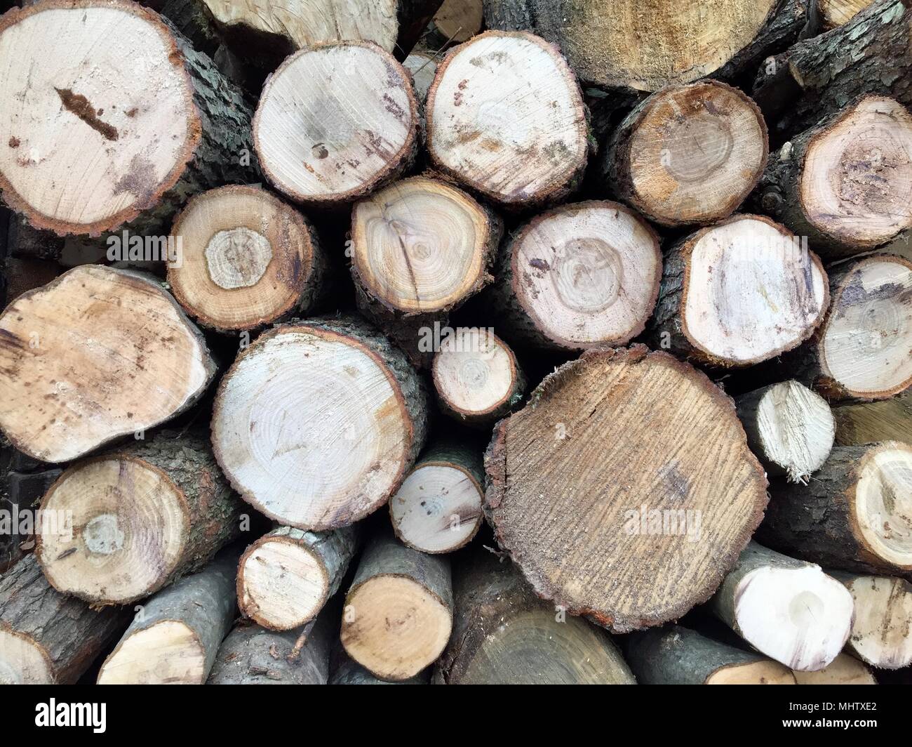Stack of firewood log wood landscape natural Stock Photo - Alamy