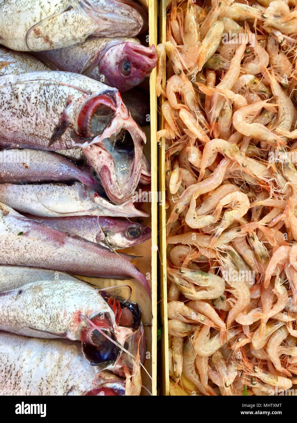 Raw mackerel fish on display for sale. pelagic fish Stock Photo - Alamy