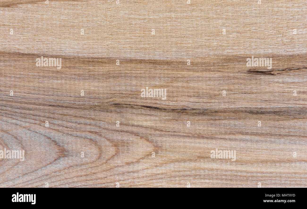 Natural Taiga birch wood grain texture pattern background Stock Photo ...