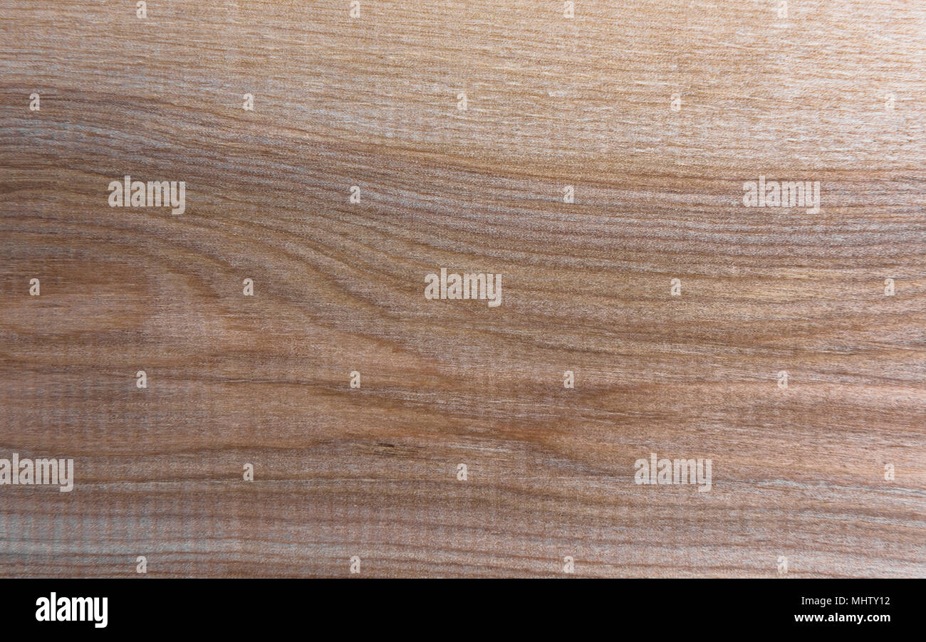 Natural Taiga birch wood grain texture pattern background Stock Photo ...