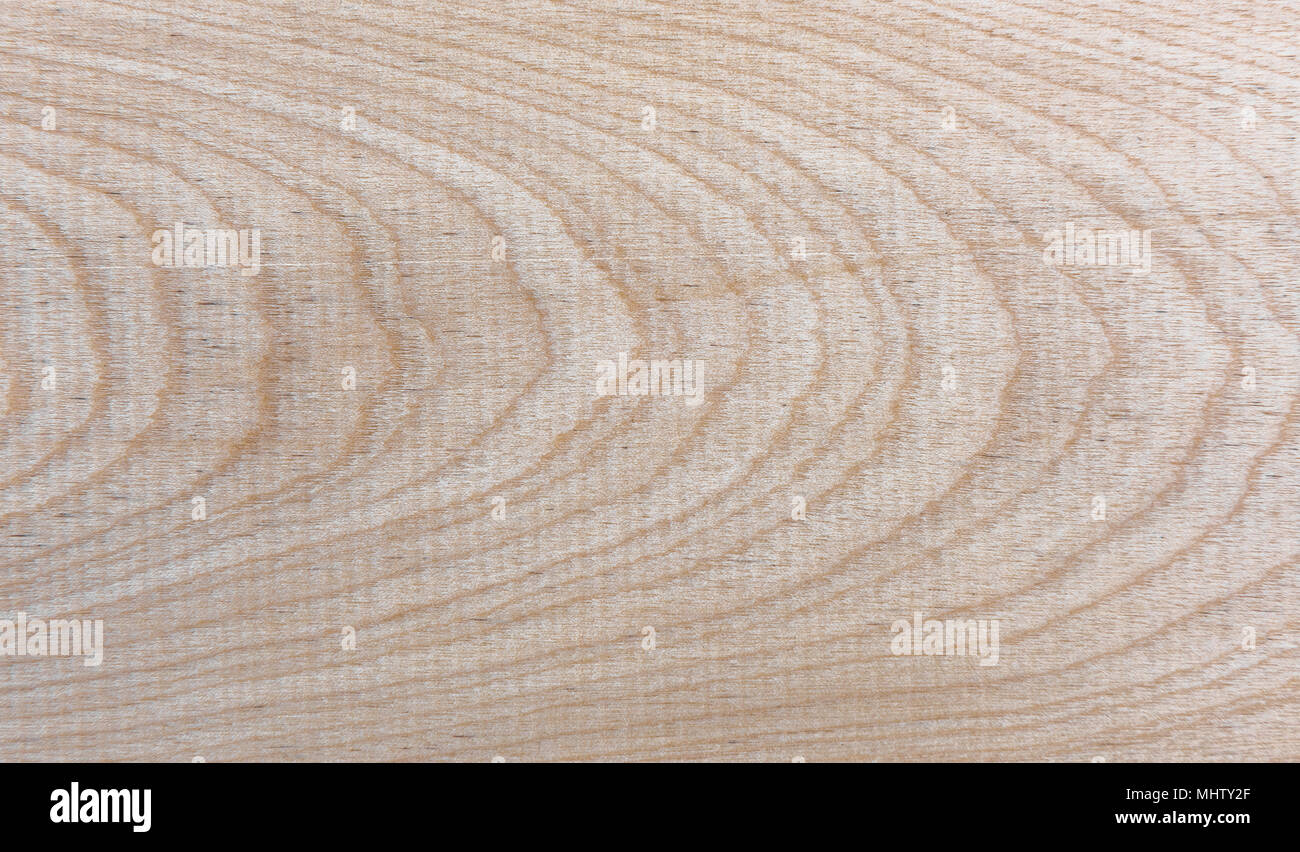 Natural Taiga birch wood grain texture pattern background Stock Photo ...