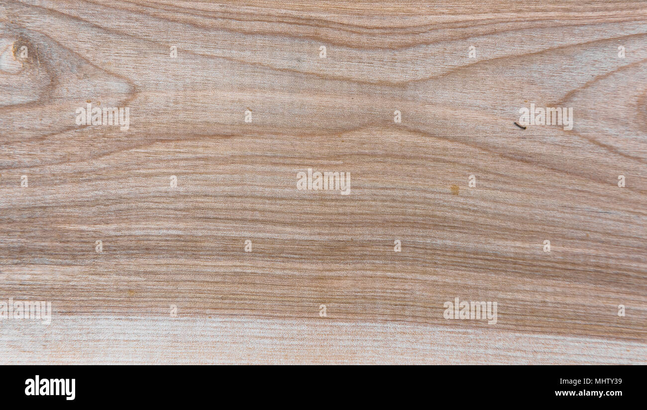 Natural Taiga birch wood grain texture pattern background Stock Photo ...