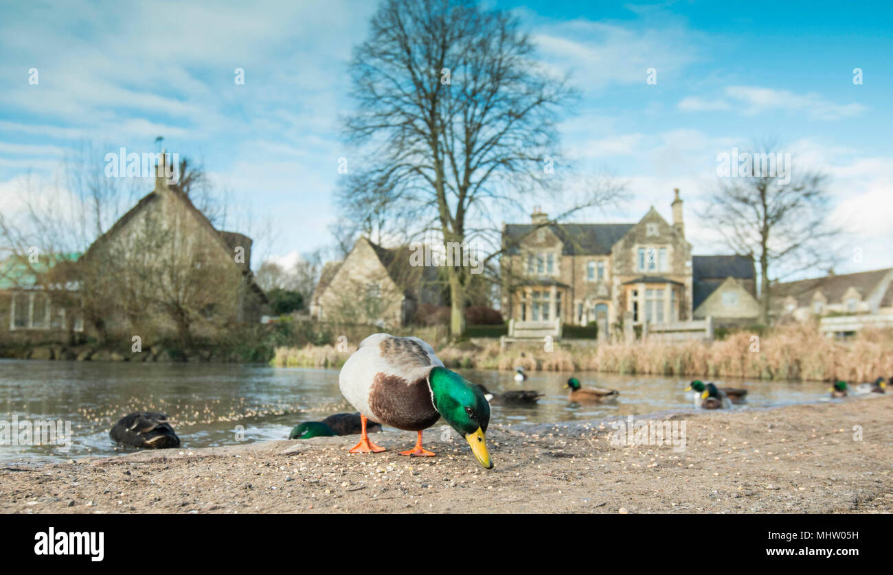 Biddestone hi-res stock photography and images - Alamy