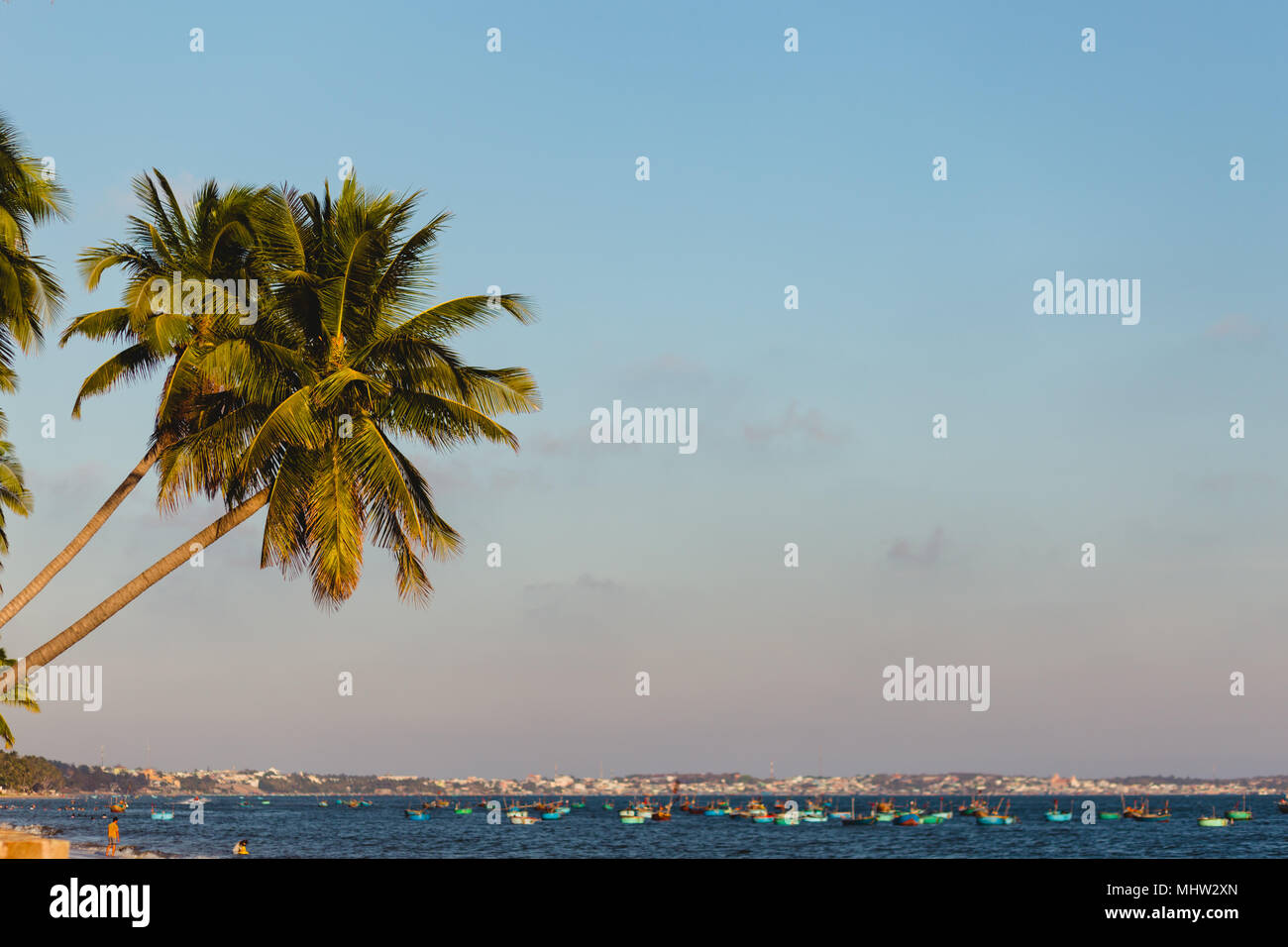 Coconut trees stretch into the sea, Vietnam, Mui Ne Stock Photo - Alamy