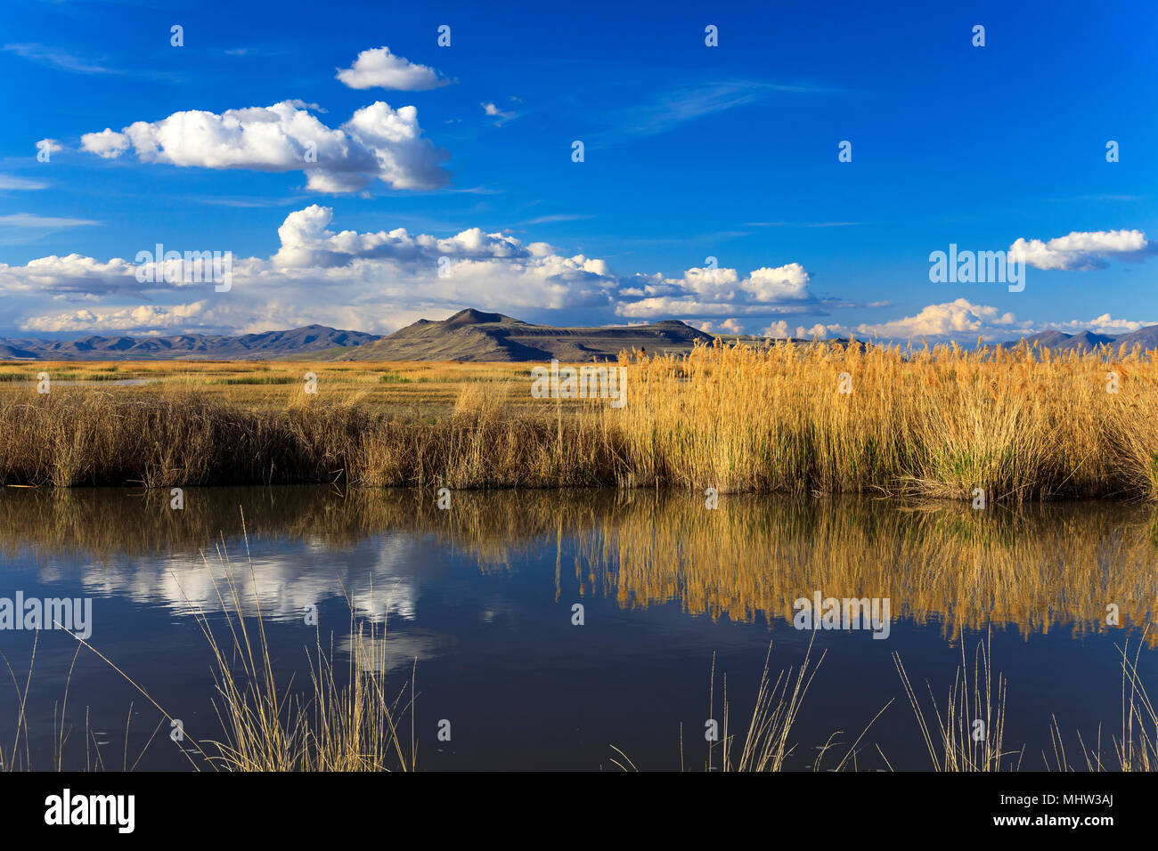 This is a view looking north toward Little Mountain from the Bear River ...