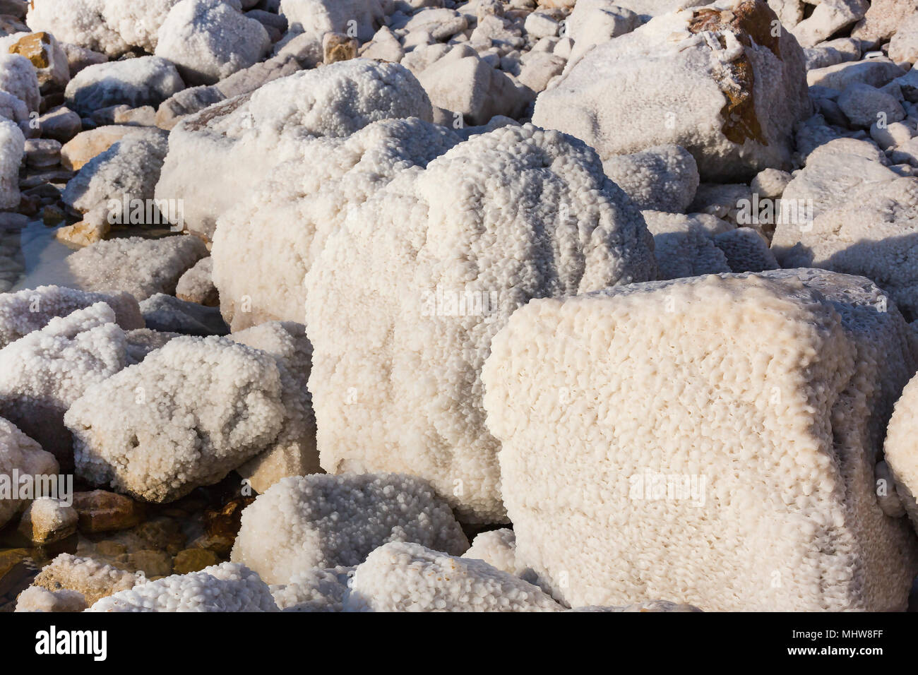 Dead Sea salt deposits stones white crystals Stock Photo - Alamy
