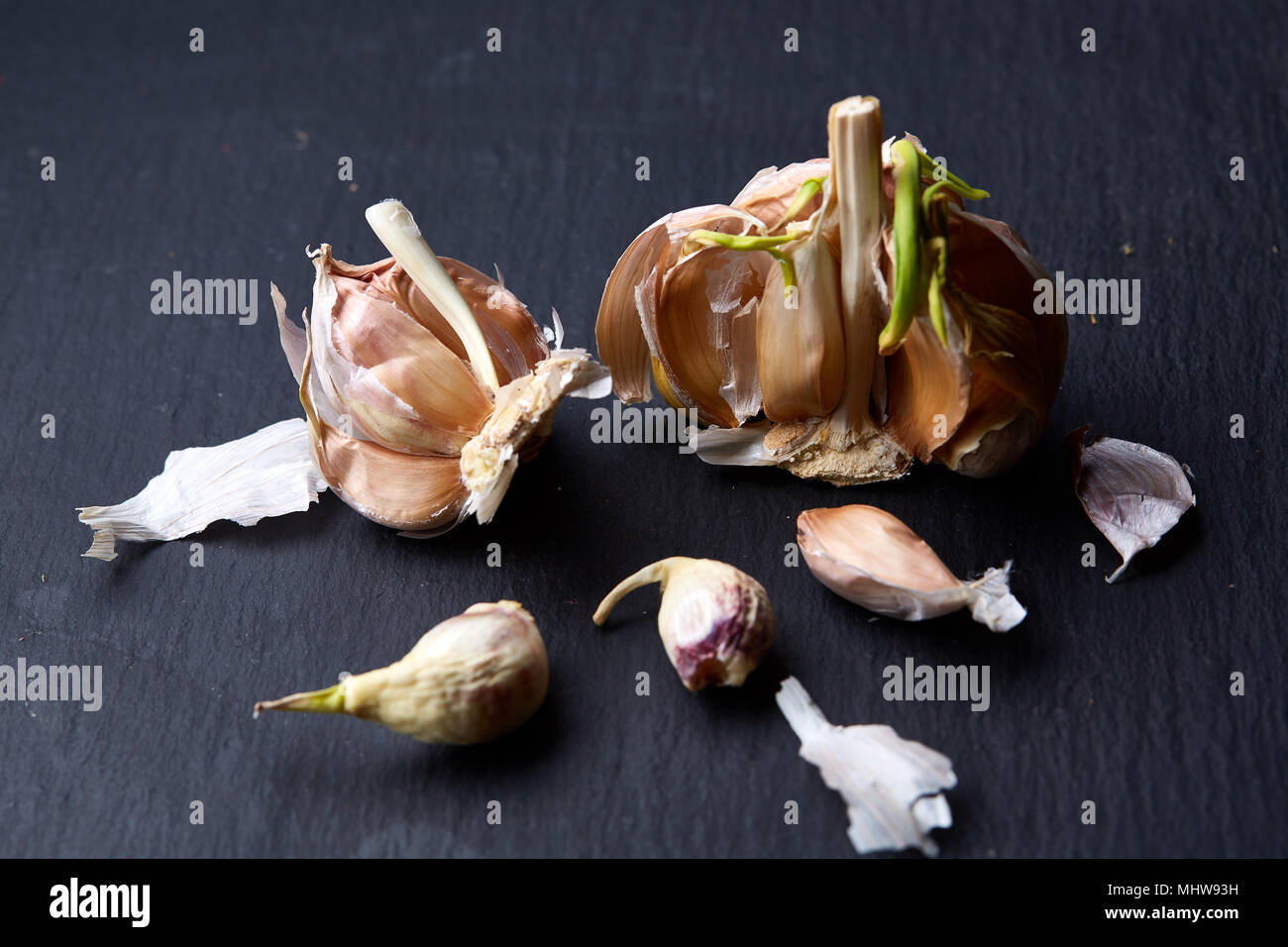 Parts Of Garlic