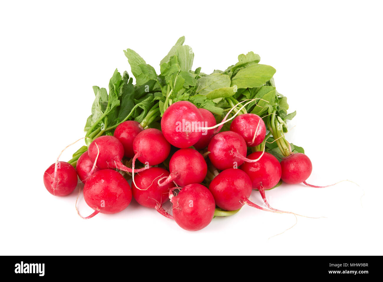 Small garden radish isolated on white background Stock Photo - Alamy