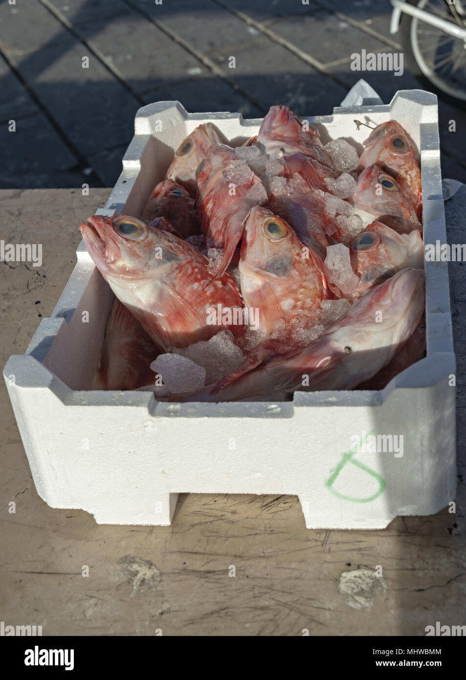 Scorpion fish italy hi-res stock photography and images - Alamy