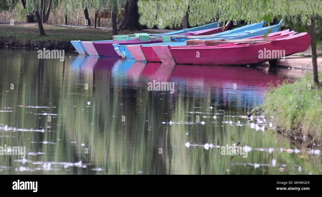Pink rowboats hi-res stock photography and images - Alamy