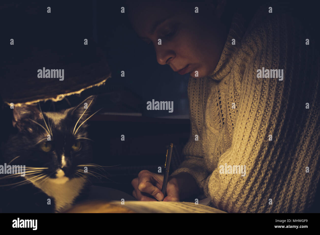 Toned image of writing girl and black and white cat under lamp Stock ...