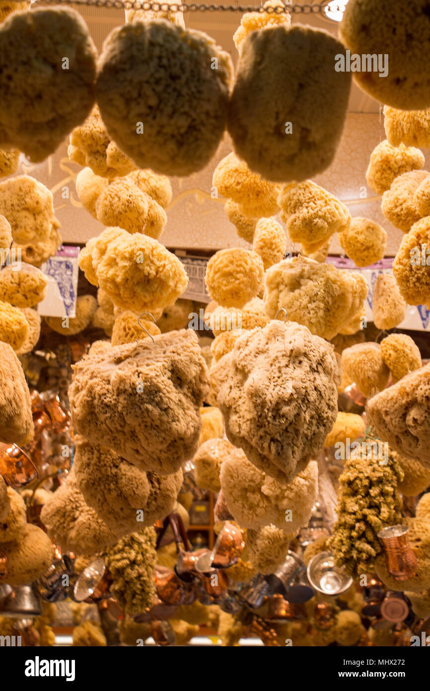 Collection of sea sponges hanging on a market stall Stock Photo - Alamy