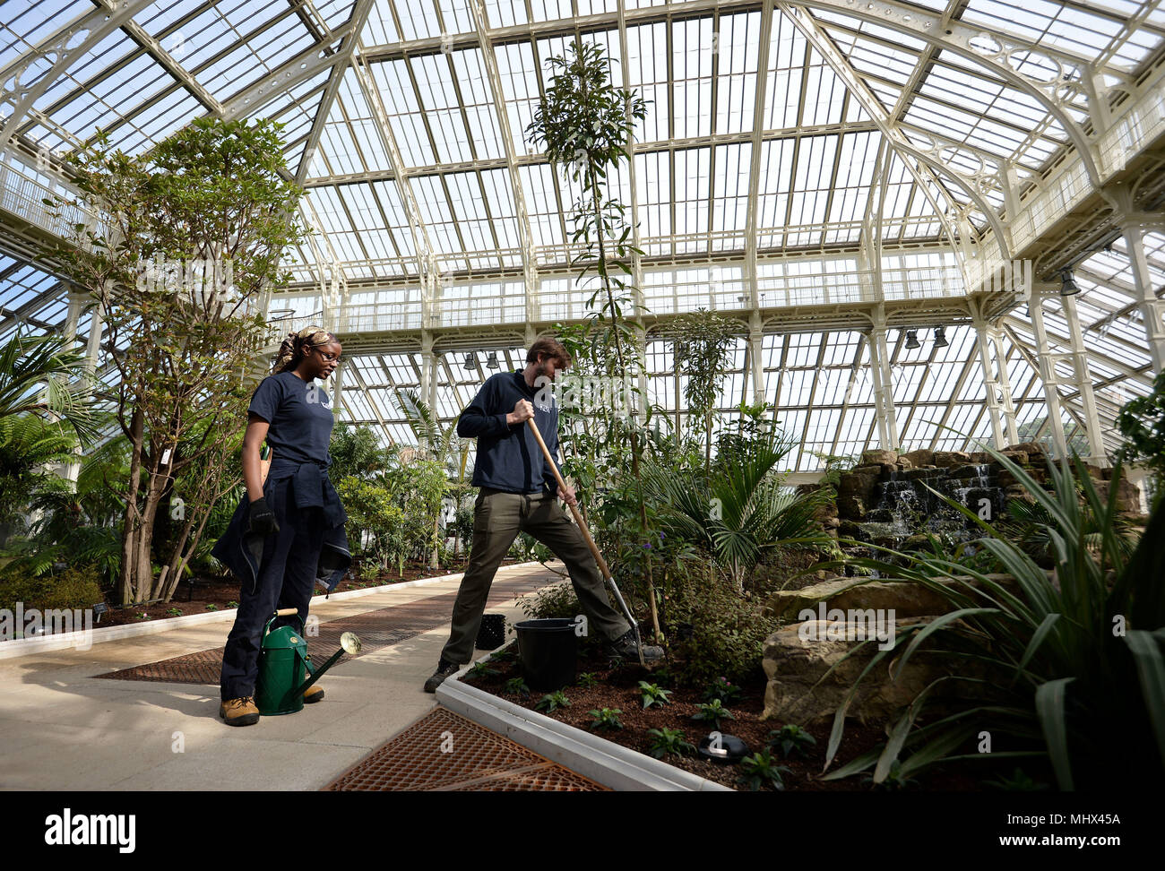 Lead horticulturalist Scott Taylor plants the final plant during the ...