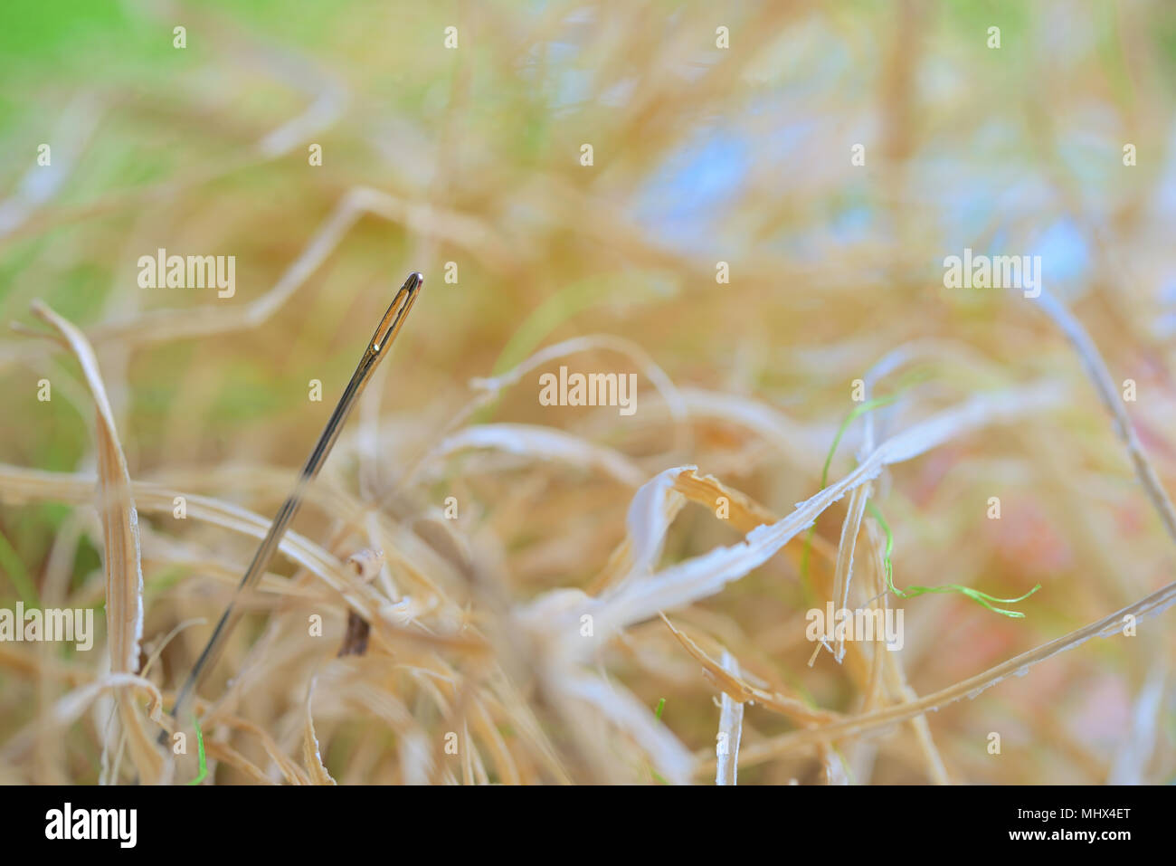 Looking at needle hi-res stock photography and images - Alamy