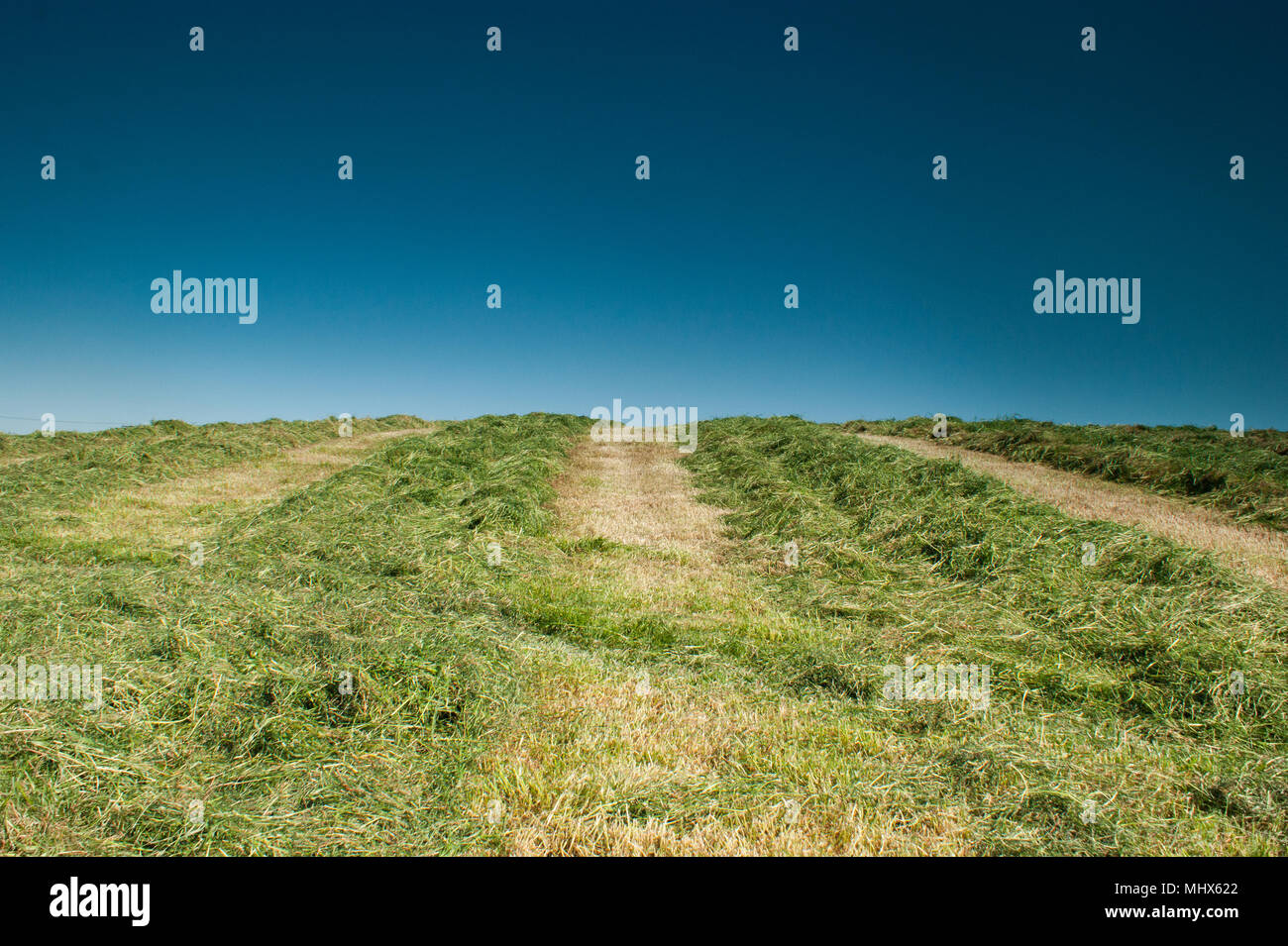 Farm mowing hi-res stock photography and images - Alamy