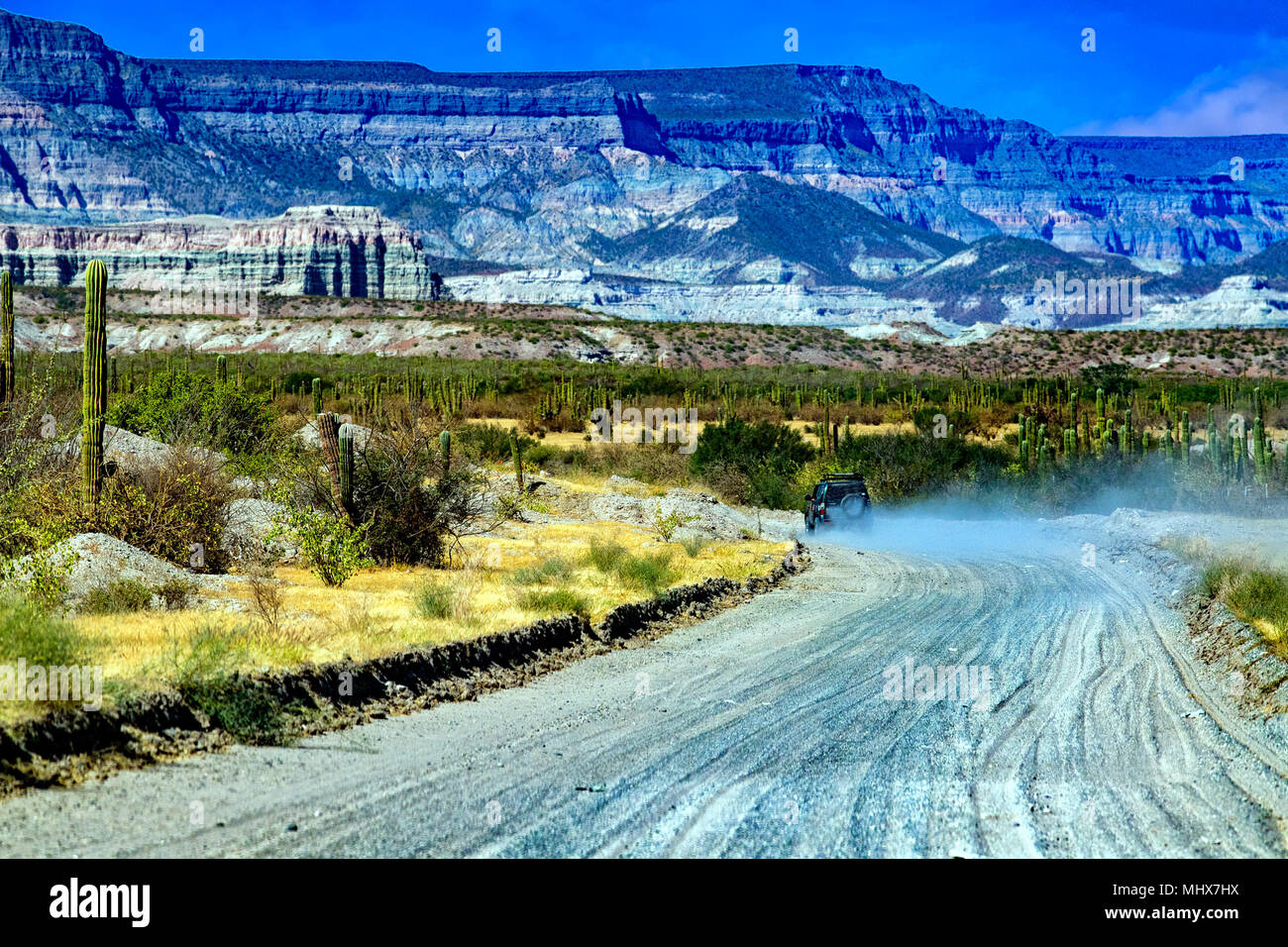 driving in Mexico baja california desert endless road Stock Photo - Alamy