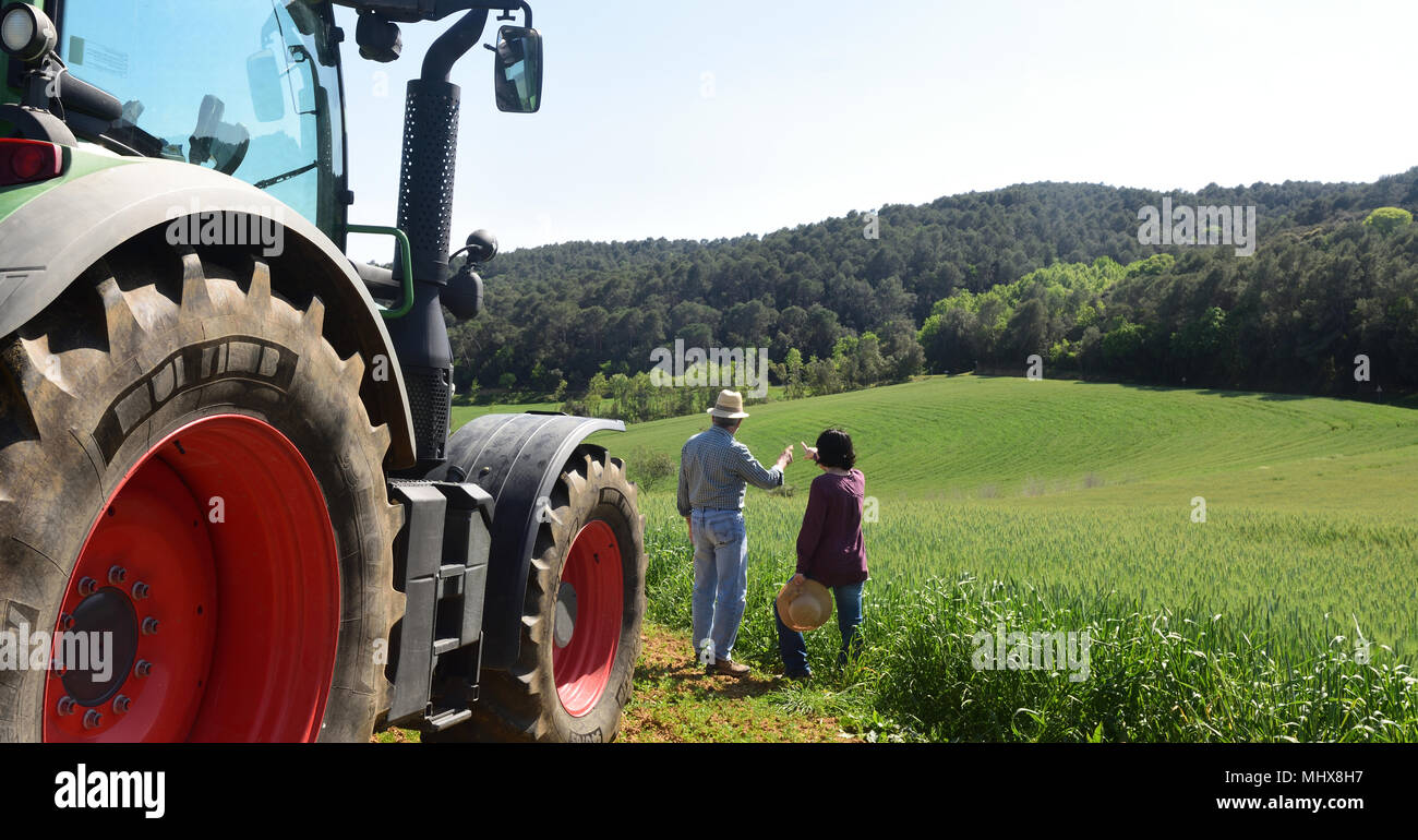Couple farmers looking field hi-res stock photography and images - Alamy
