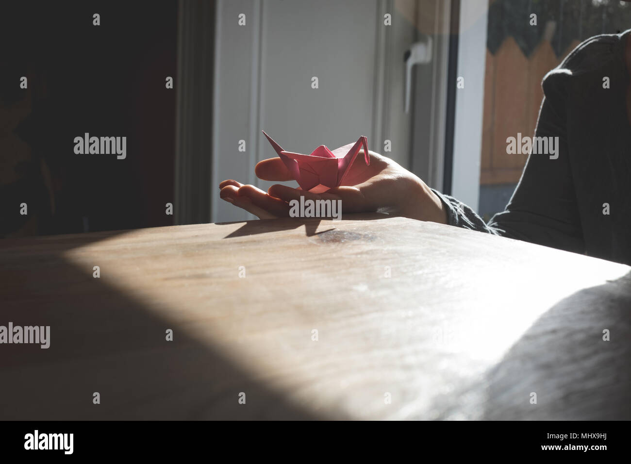 Hand holding origami hi-res stock photography and images - Alamy